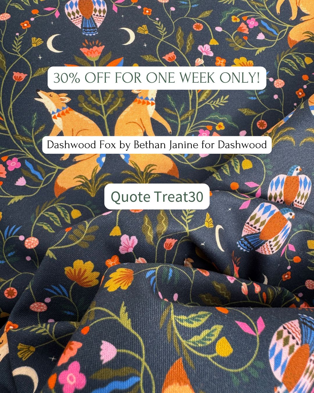 Spotlight of the Week 25/02/26 Desert Fox by Bethan Janine for Dashwood ...
